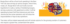 How to Write Food Truck Business Plan + Free Template
