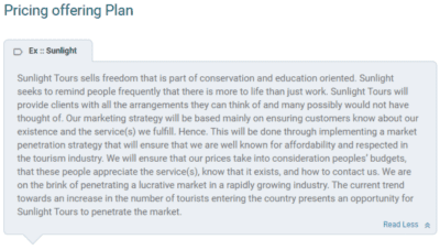 How to Write Travel Agency Business Plan + Free Template