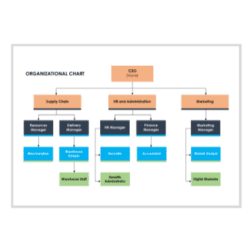 Free Organization Chart Template