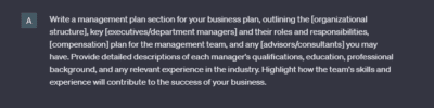 How to Write a Business Plan using ChatGPT? (Prompts)