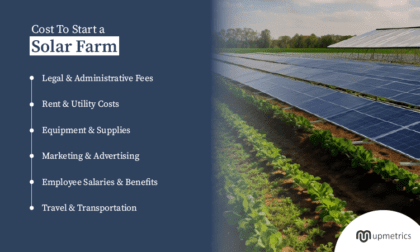 How Much Does it Cost to Start a Solar Farm?